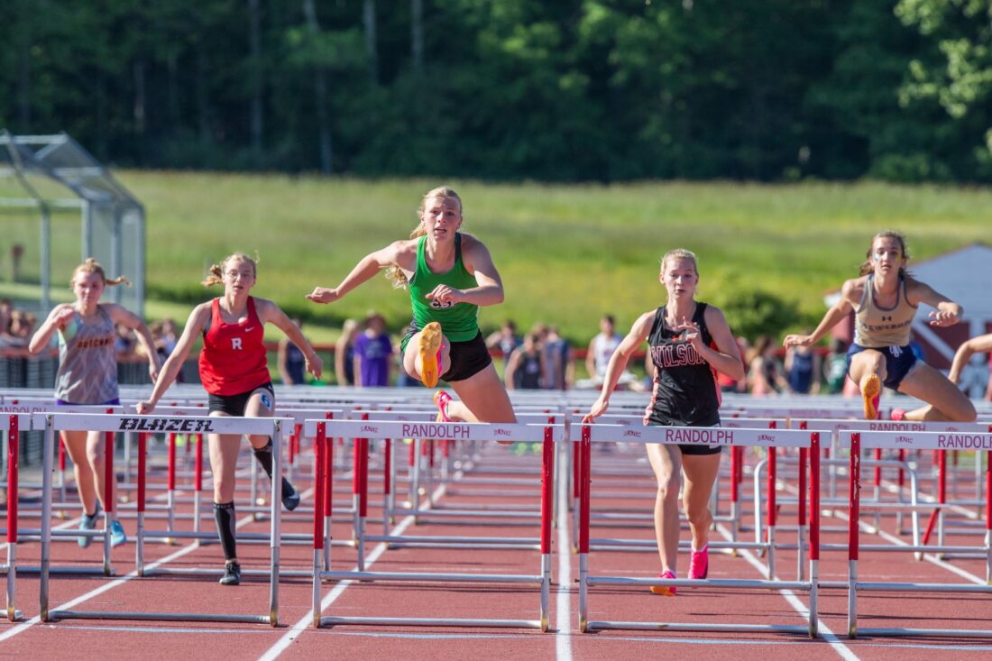 Bears Rule ‘D’ | News, Sports, Jobs - Post Journal